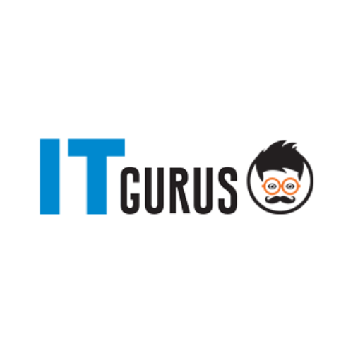 ITGurus Company Profile, information, investors, valuation & Funding