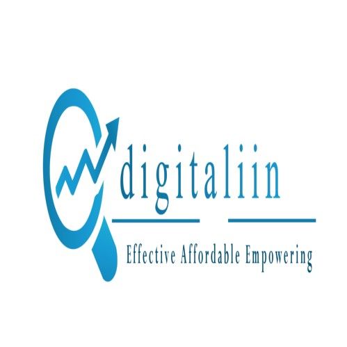 Digitaliin Company Profile, information, investors, valuation & Funding