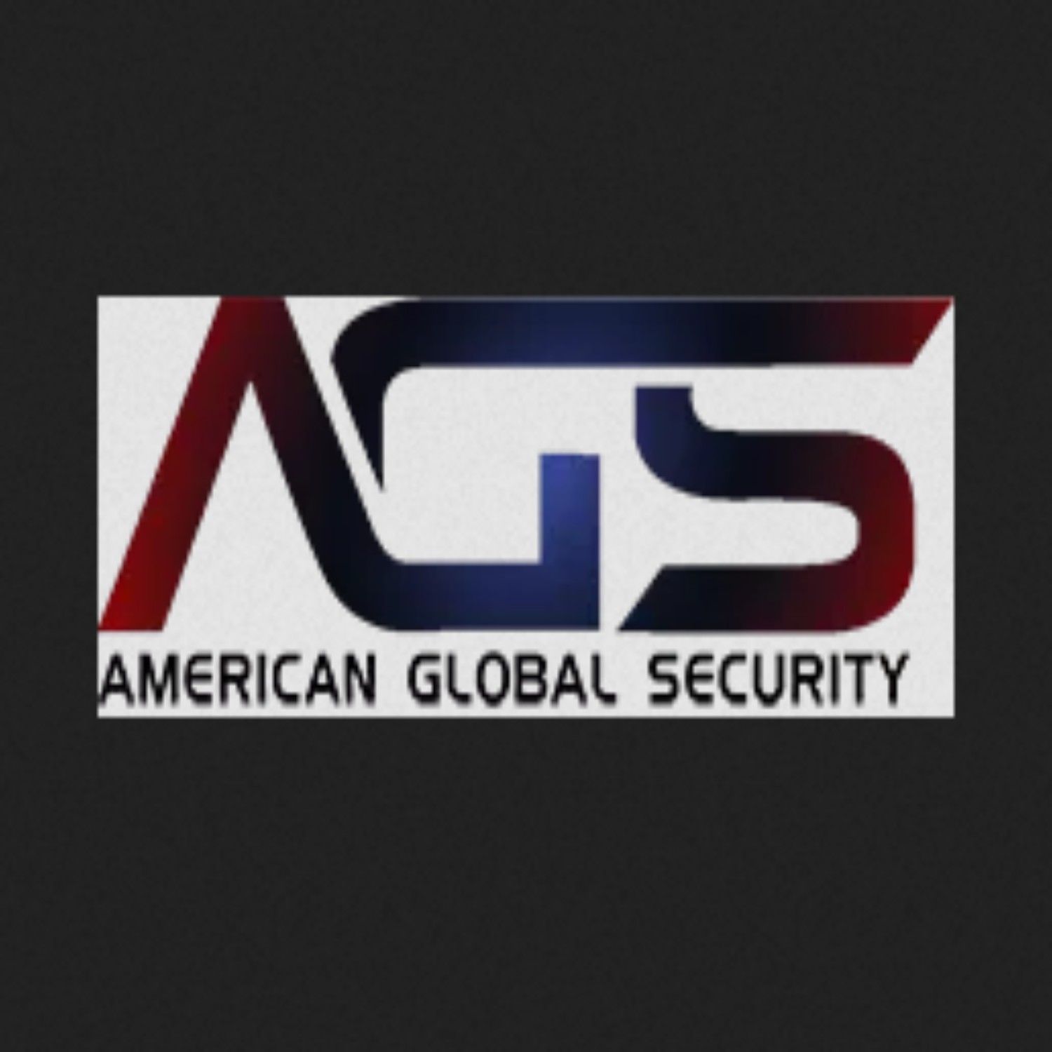 American Global Security Company Profile Funding & Investors | YourStory