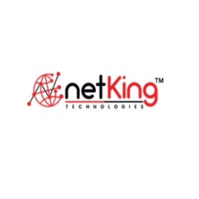 Netking Technologies Company Profile, information, investors, valuation ...