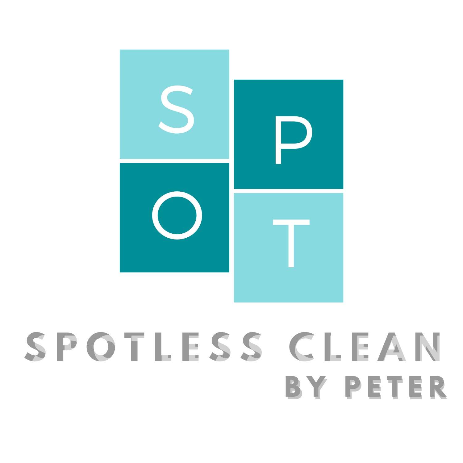 Spotless Clean by Peter Company Profile, information, investors ...