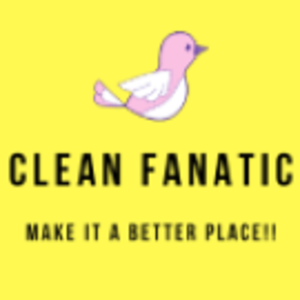 Clean Fanatic | YourStory