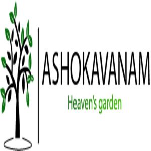 Ashokavanam Company Profile, information, investors, valuation & Funding