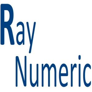 Raynumeric Company Profile Funding & Investors | YourStory