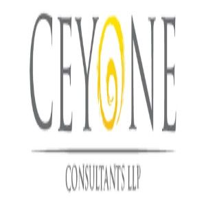 Ceyone Consultant Company Profile Funding & Investors | YourStory