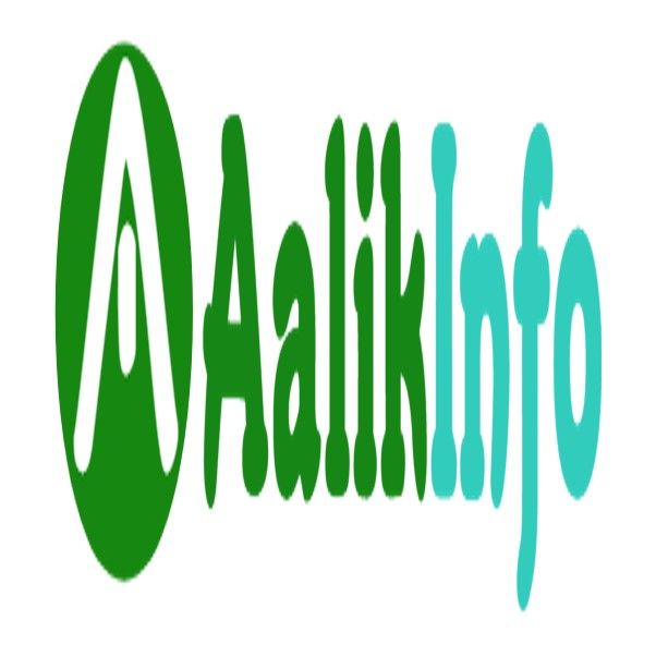 AalikInfo Company Profile, information, investors, valuation & Funding