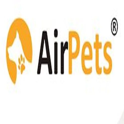 AirPets Company Profile, information, investors, valuation & Funding