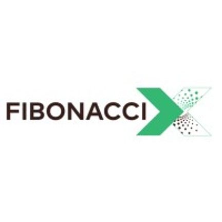 Fibonacci X Company Profile, information, investors, valuation & Funding