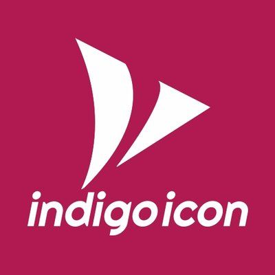 Indigo Icon Company Profile, information, investors, valuation & Funding