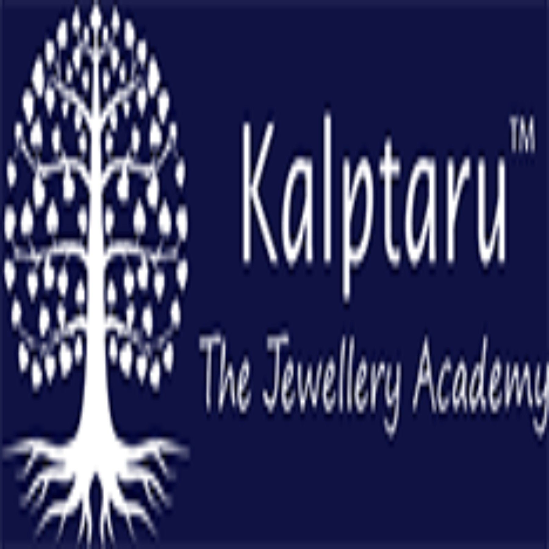 Kalptaru Company Profile, information, investors, valuation & Funding