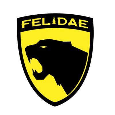 Felidae Company Profile Funding & Investors | YourStory