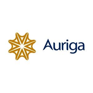 Auriga Consultants Company Profile, information, investors, valuation ...