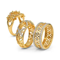 Bluestone Company Profile Funding & Investors | YourStory