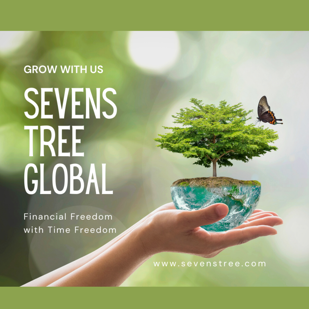 Sevens Tree Global Company Profile, information, investors, valuation ...