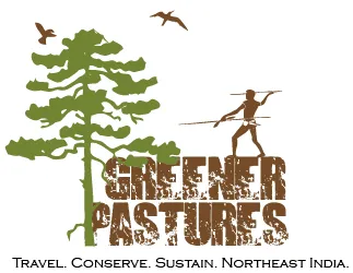 Assam Based Startup Greener Pastures Takes You for a Ride into the ...