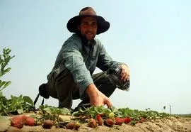 Peter Frykman: the creator of 'big' irrigation solutions for small ...