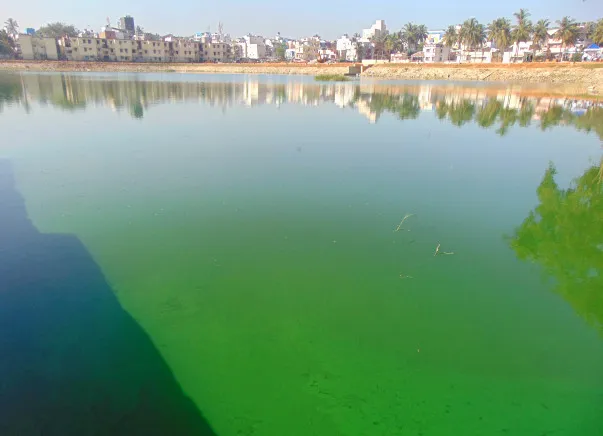 10 lakes of Bengaluru that need immediate attention | YourStory