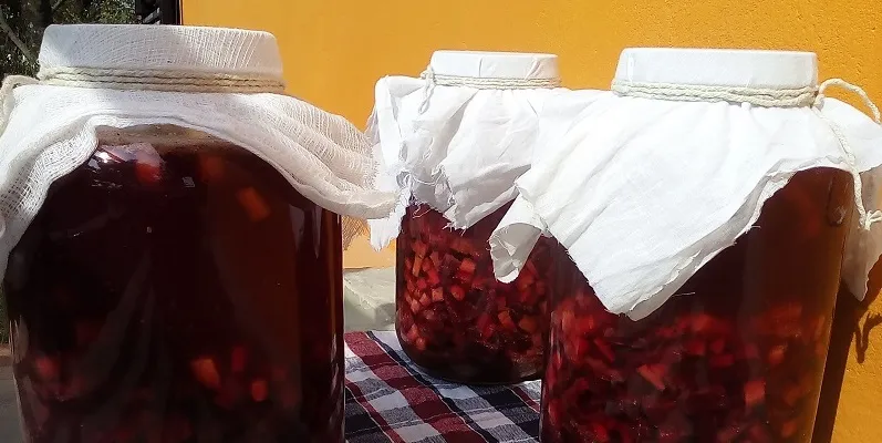 How Prana Foods makes delicious bacteria that is good for your health