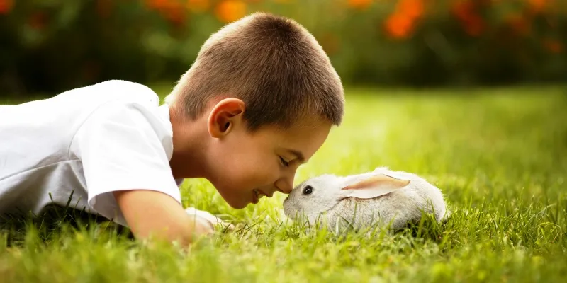 How to teach your children the importance of wildlife conservation ...