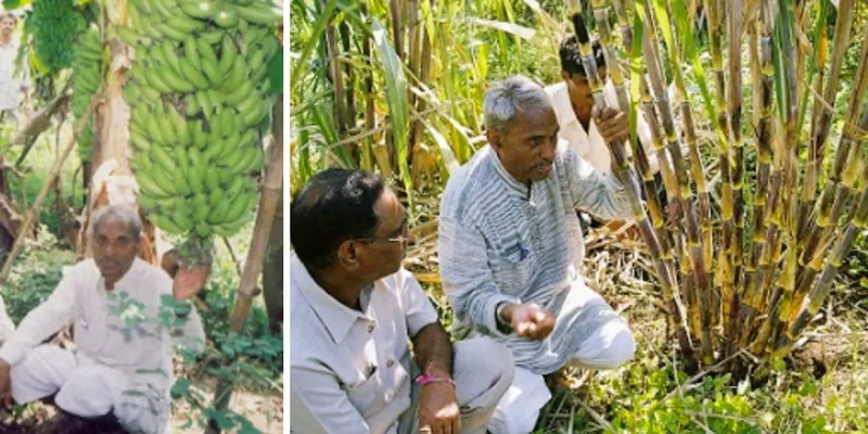 With zero-cost methods, this 68-year-old scientist is fighting farmer ...