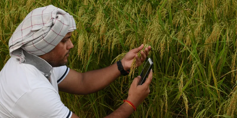 Why ‘Farming as a Service’ is attracting big bucks | YourStory