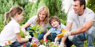 Ten Tips For Starting And Maintaining A New Garden Ten Tips For Starting And Maintaining A New Garden